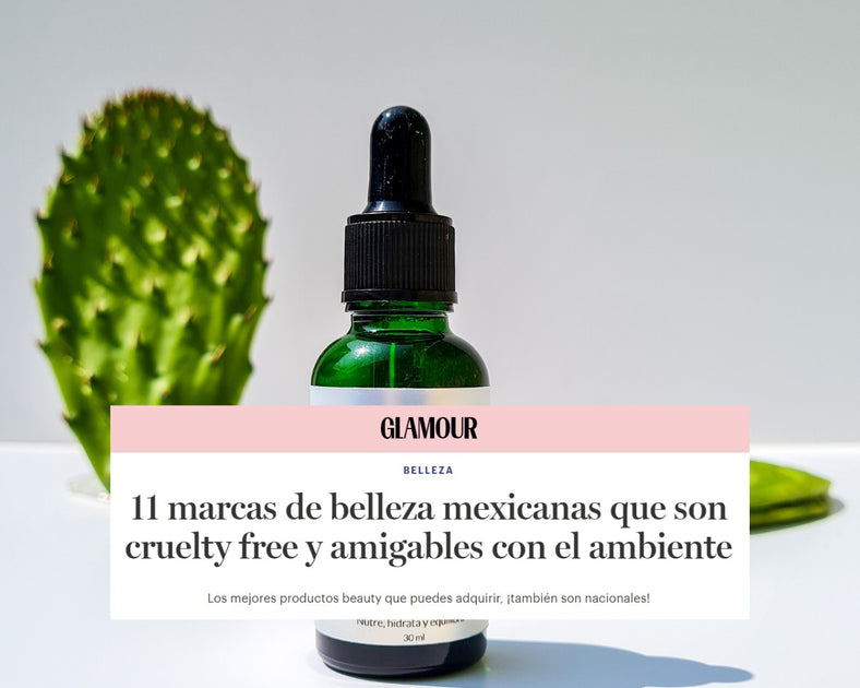 Nopalmilta destaca por utilizar el nopal como máximo protagonista para